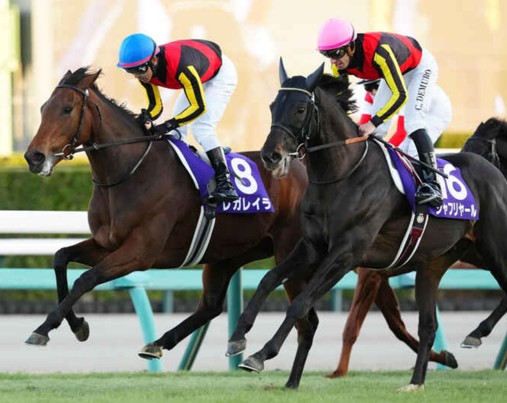 有馬記念2024: 幸明の｢今に生きる｣